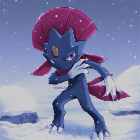 Analisis Y Estrategia Weavile •pokémon• En Español Amino