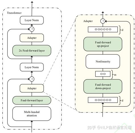 大模型微调（finetune）方法总结 知乎