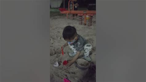 Con Vọc Cát ở Công Viên Daily Life Of Dolphin Youtube