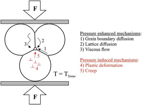 Superposition Of Pressure During Sintering Induces Additional Download Scientific Diagram