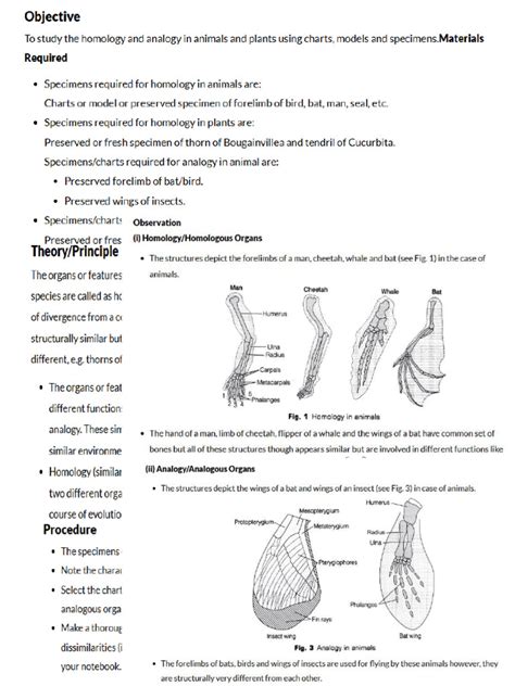 Practical Homologous Analogous Organ Pdf
