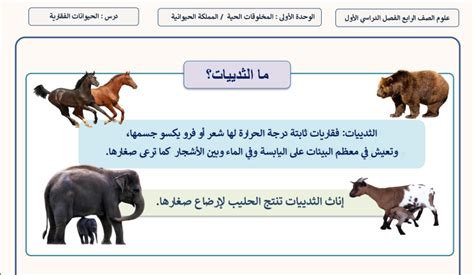 ملخص درس الثديات علوم رابع ابتدائي أ يوسف سليمان البلوي بداية