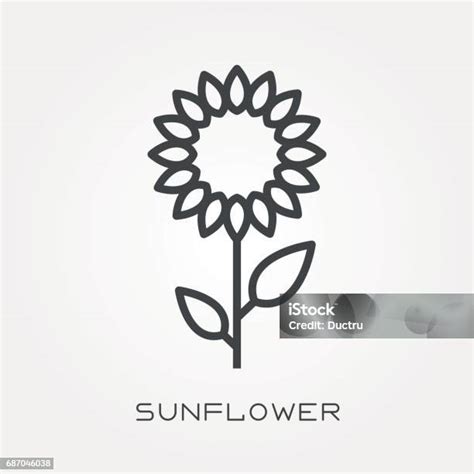 線圖示向日葵向量圖形及更多向日葵圖片 向日葵 矢量圖 商標 Istock