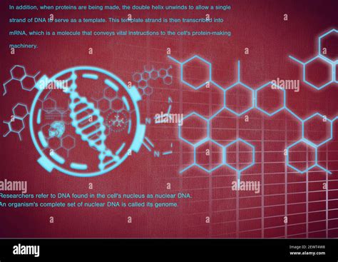 Scientific Data Processing With Dna Strand And Scope Scanning On Red Background Stock Photo Alamy