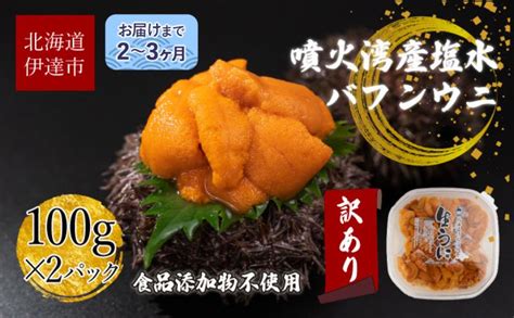訳あり 北海道 噴火湾産 塩水 バフンウニ 100g 2パック 計200g うに ウニ 雲丹 海鮮 海の幸 魚介類 ウニ丼 お寿司 濃厚 無