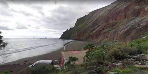 Playas Que Admiten Perros Archives RedCanina Es