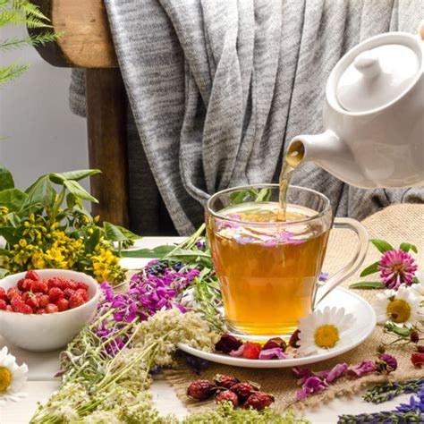 6 Adaptogens That Support Hormone Balance The Betty Rocker