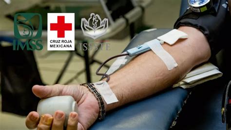 ¿a Qué Lugares Puedo Ir A Donar Sangre Y Cuáles Son Los Requisitos