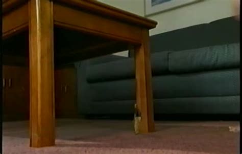 TAG Movie Gentle Fucking Practice Biguz Net