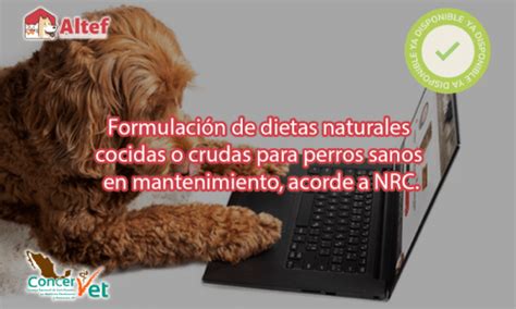 Formulación De Dietas Para Perros Raw Fed And Nerdy