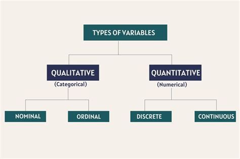 Oluwadara Adebobola On Linkedin Dataanalysis Variables Quantitative