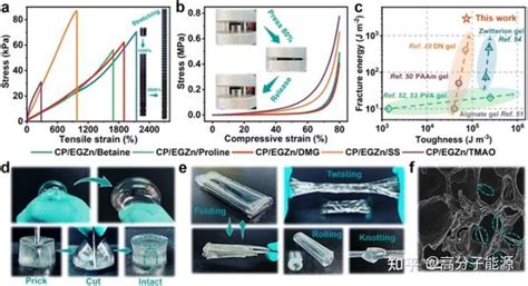北京林大杨俊ees：超分子两性离子水凝胶电解质助力无枝晶锌离子电容器 知乎