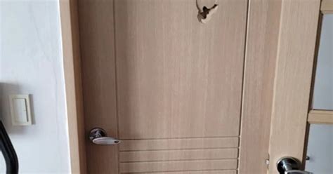 문 파손 수리 숨고 숨은고수