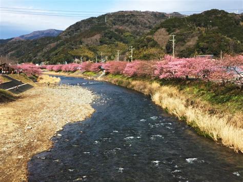 河津浜温泉静岡県の温泉・旅行ガイド（2025年版）｜人気・おすすめ温泉情報【ゆこゆこ】