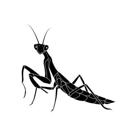 Premium Vector Grasshopper Icon