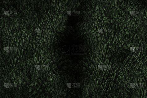 神奇森林库存照片