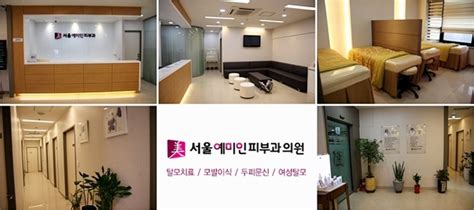 분당탈모병원 선택은 신중하게 네이버 블로그