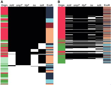 A Avian Pathogenic Strains Of Escherichia Coli Apec Avian Litter Download Scientific