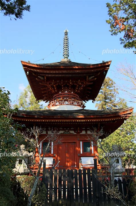 Photolibrary