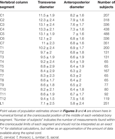 Estimated Spinal Cord Diameters Vertebral Column Bony Segment