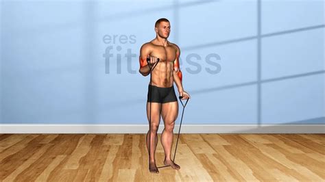 Curl Alternado Con Banda Elástica Eresfitness