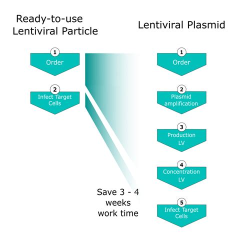 Lentiviral Particles Ready To Use Lentivirus‎ Genomics