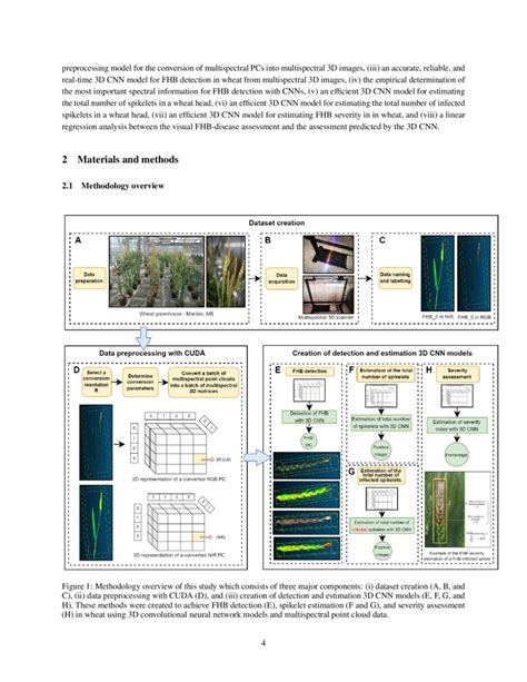 Fusarium Head Blight Detection Spikelet Estimation And Severity Assessment In Wheat Using 3d
