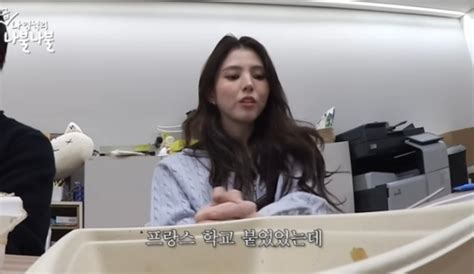 편집으로 와전됐다 한소희 프랑스 대학 논란에나영석 사과해라
