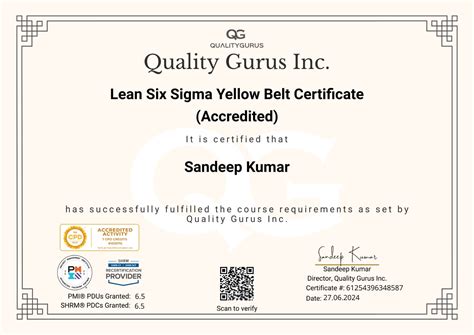 Six Sigma Team Roles And Responsibilities Quality Gurus