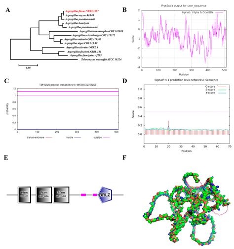 Chip Seq Analysis Of Atfa Interactions In Aspergillus Flavus Reveals