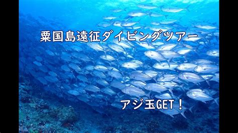 粟国島遠征ギンガメアジの玉を狙って早朝から開催那覇発沖縄ダイビングショップKAHANA YouTube