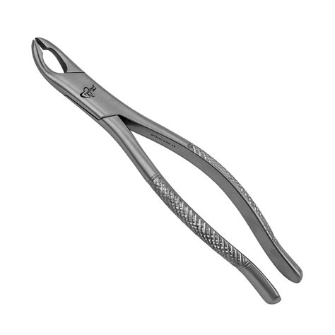 150a Universal Extraction Forceps Prodentusa