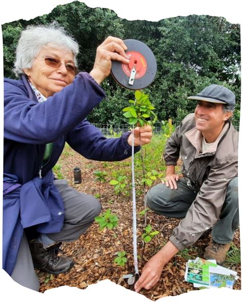 Tiny Forest Tree Survey Earthwatch Europe