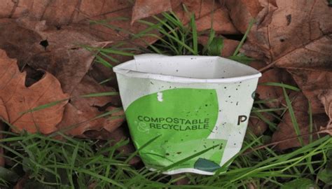 Clean The Sky Fully Compostable Paper Cups
