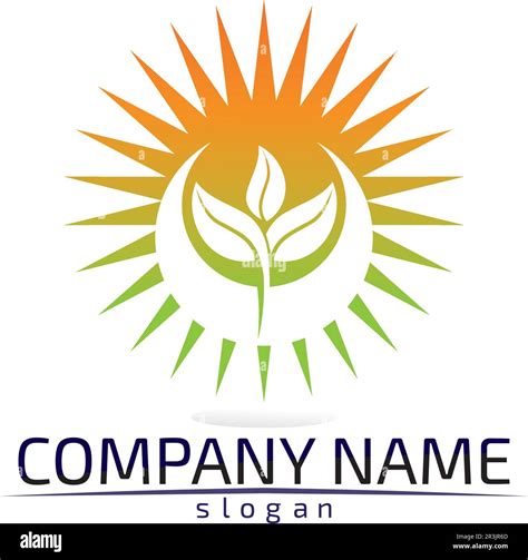 Tree Leaf Vector Logo Design Eco Friendly Concept Stock Vector Image Art Alamy