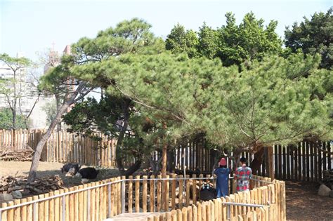 新竹動物園重生！打造快樂的動物之島，看昭和老物、聽老故事 Traveler Luxe