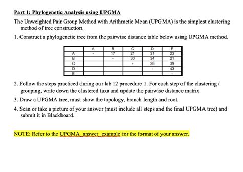 Solved Part Phylogenetic Analysis Using UPGMA The Chegg