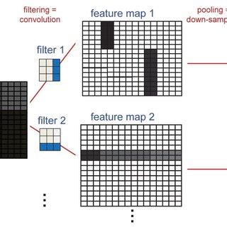 Convolutional Filters Top Slide Over The Images Creating Feature