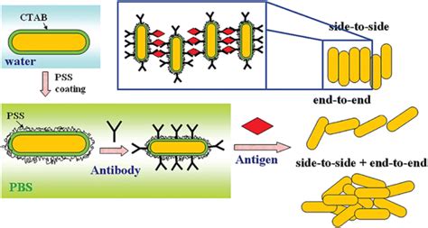 Fusiform Gold Nanoparticles By Pulsed Plasma In Liquid Method Sn