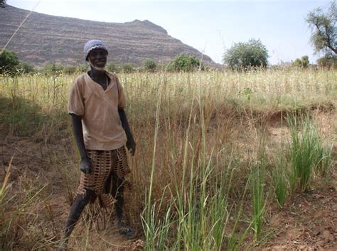 Cultiver lagrobiodiversité pour la souveraineté alimentaire au Mali Fondation Ensemble