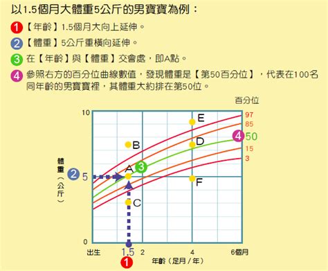 寶寶生長曲線是什麼寶寶生長曲線落後別急有解 媽咪拜mamibuy