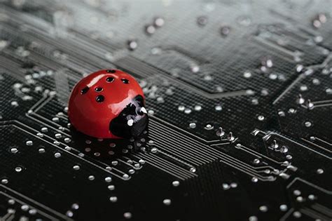 Argentinian Teen Becomes First To Earn 1m In Bug Bounties With