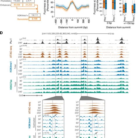 Nucleosome Remodeling Events At Putative Enhancers A Summary Of
