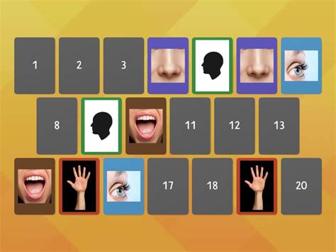 Body Parts Memory Game Matching Pairs