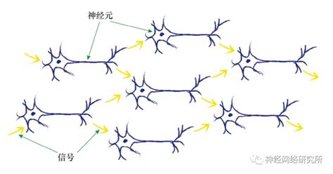 神经网络篇——用tensorflow20框架实现bp网络bp神经网络python代码tensorflow Csdn博客