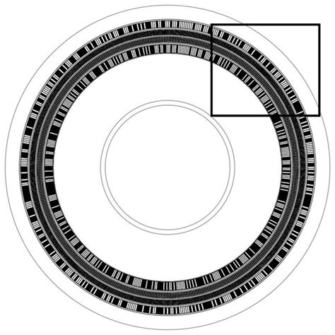 A Overall Code Disk Structure B Local Code Disk Structure