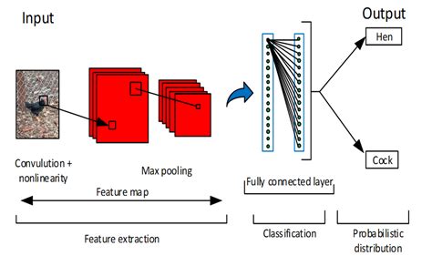 GitHub Lexuanhoang120 Thesis Design A System Classifying Chicken Gender Analyze And Design A