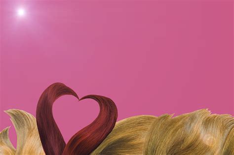 빛의 플래시와 분홍색 배경에 하트 모양의 체리 컬러 꼬리와 그림의 금발 머리 프레임 바닥의 곱슬 머리 발렌타인 데이 컨셉 카드