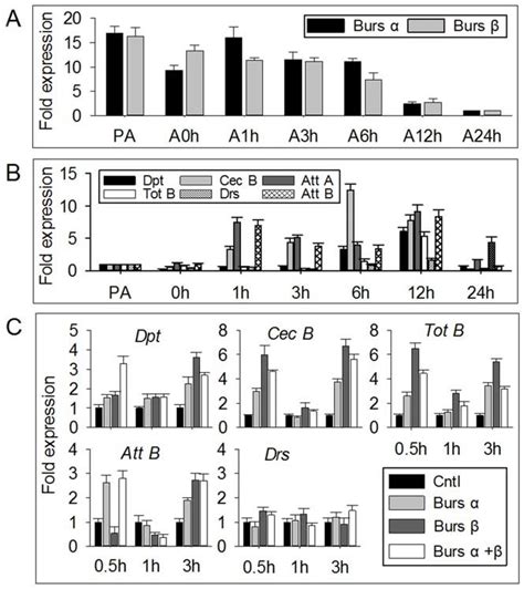 Transcription Expression Profiles Of Burs A And Burs B Subunits And Amp