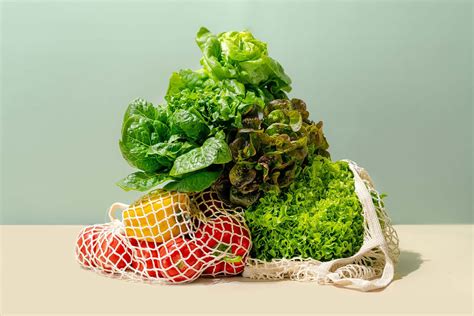 잇프릇 유러피안 샐러드 채소 버터헤드 1kg6~8포기 1668753415 사이소